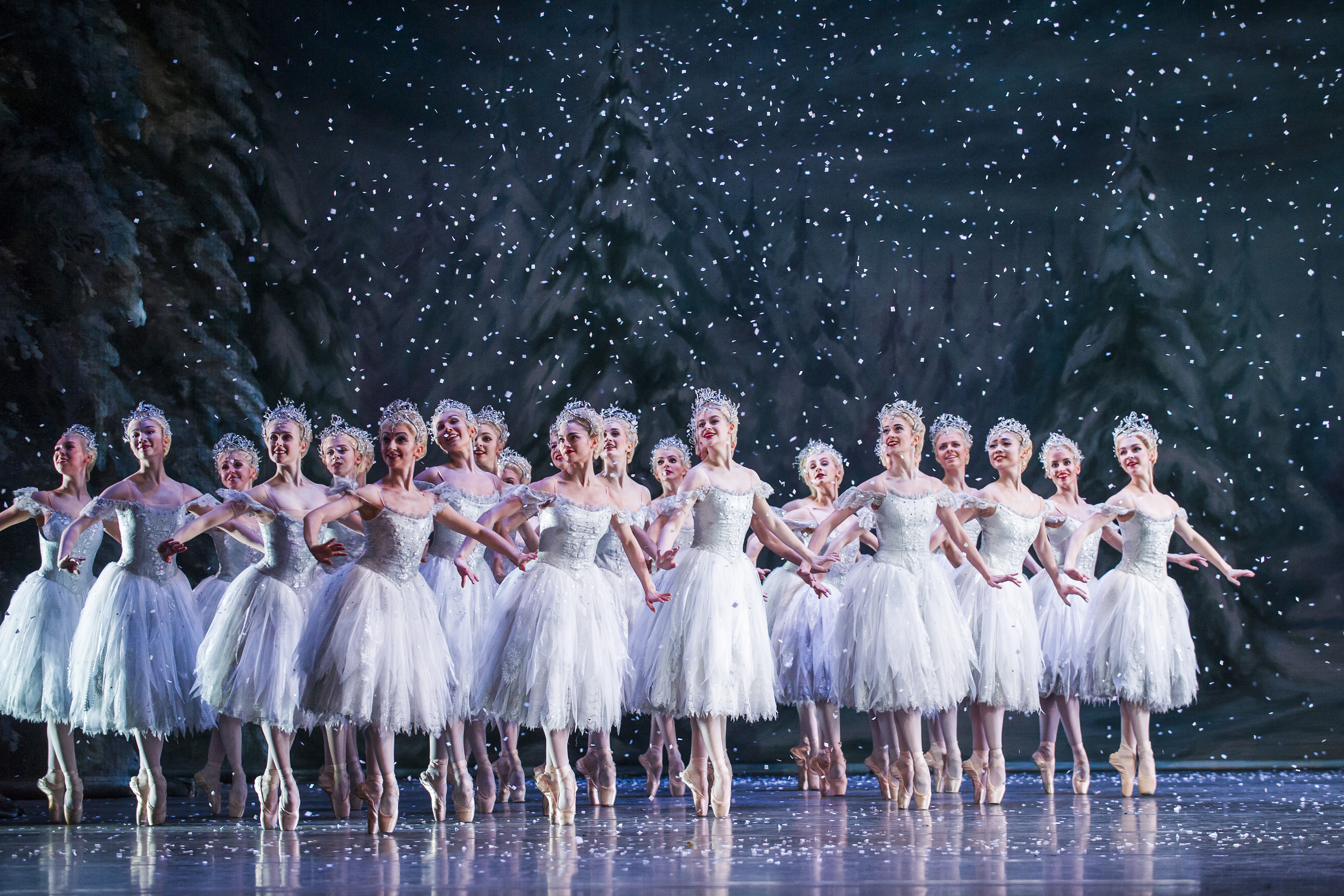 The nutcracker 2016 store